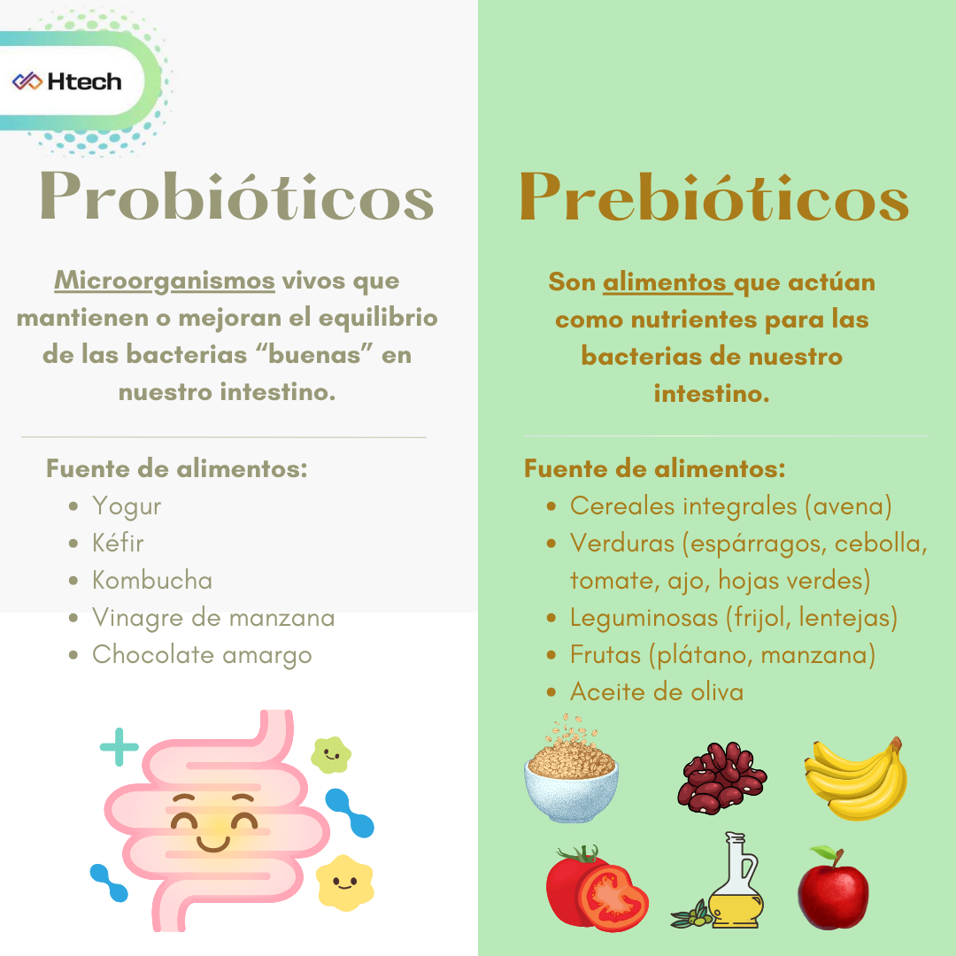 ¿Cómo cuidar mi flora intestinal?